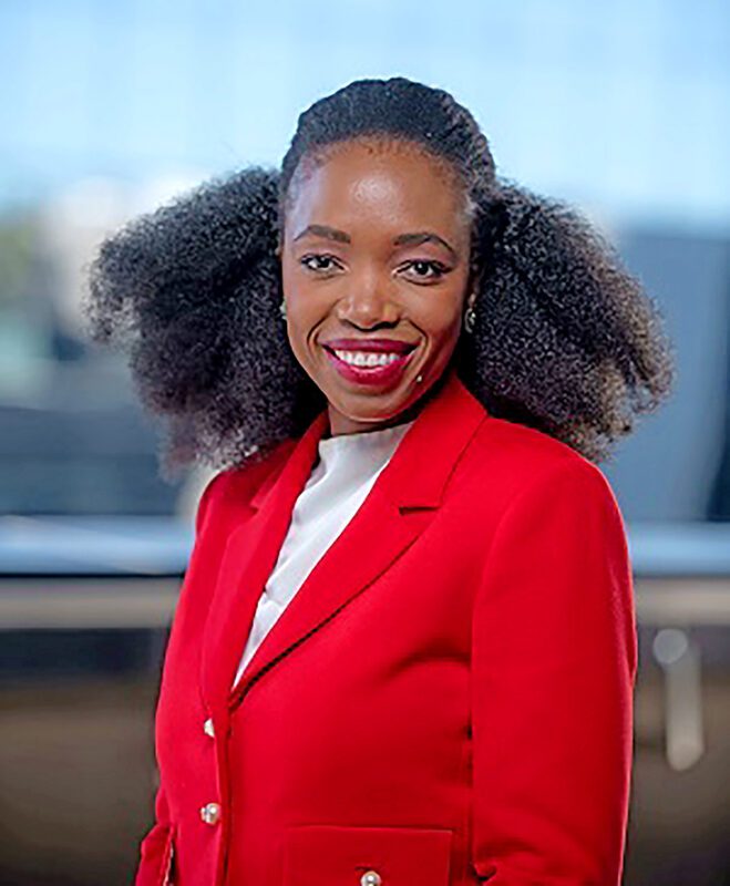 Cabinet approves two new Irba appointments